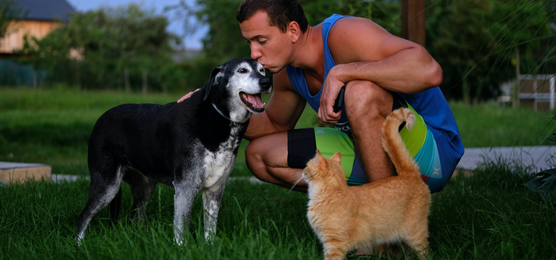 Hermanus Animal welfare – Hermanus Animal welfare Society | Giving life ...