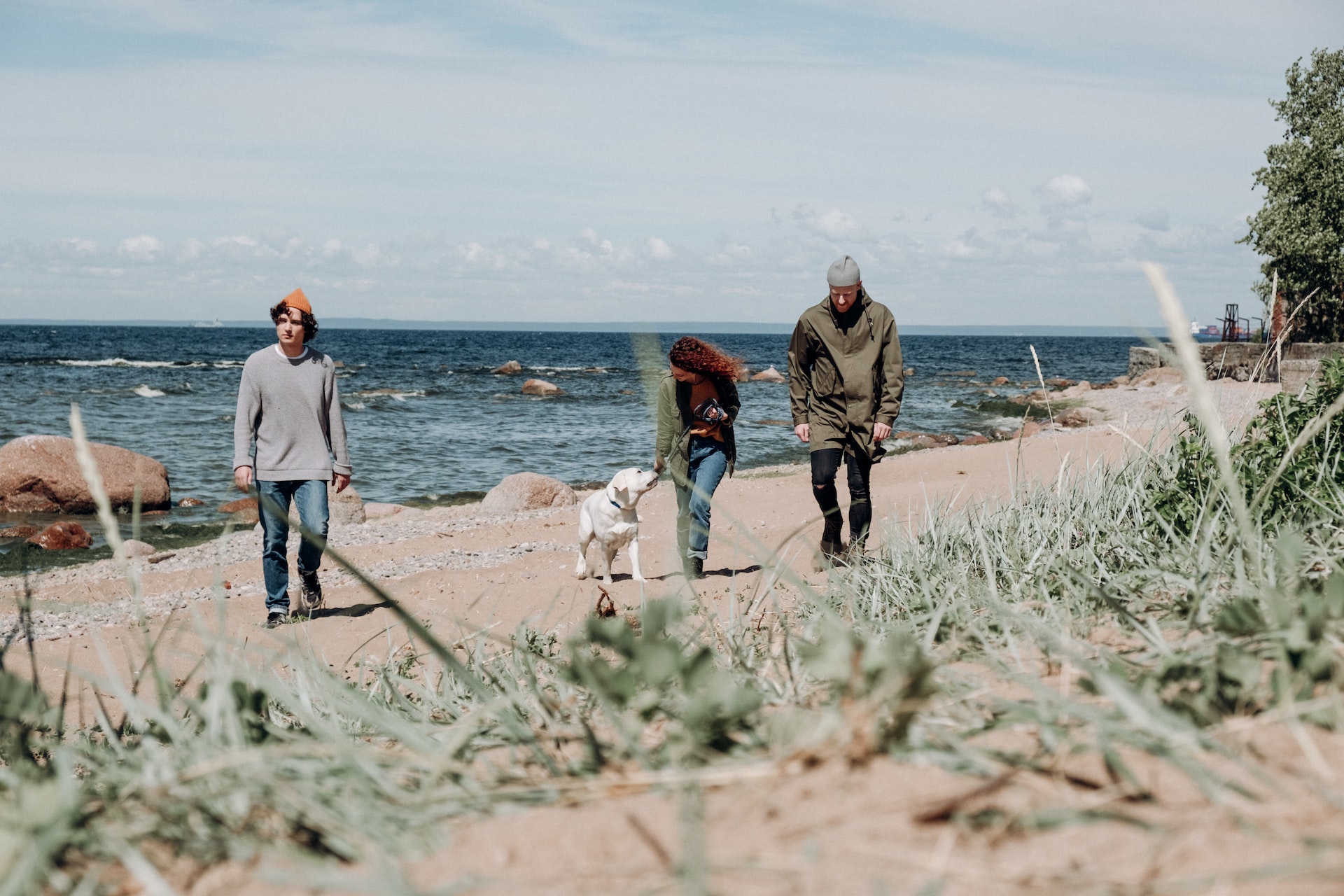 Contact – Hermanus Animal welfare